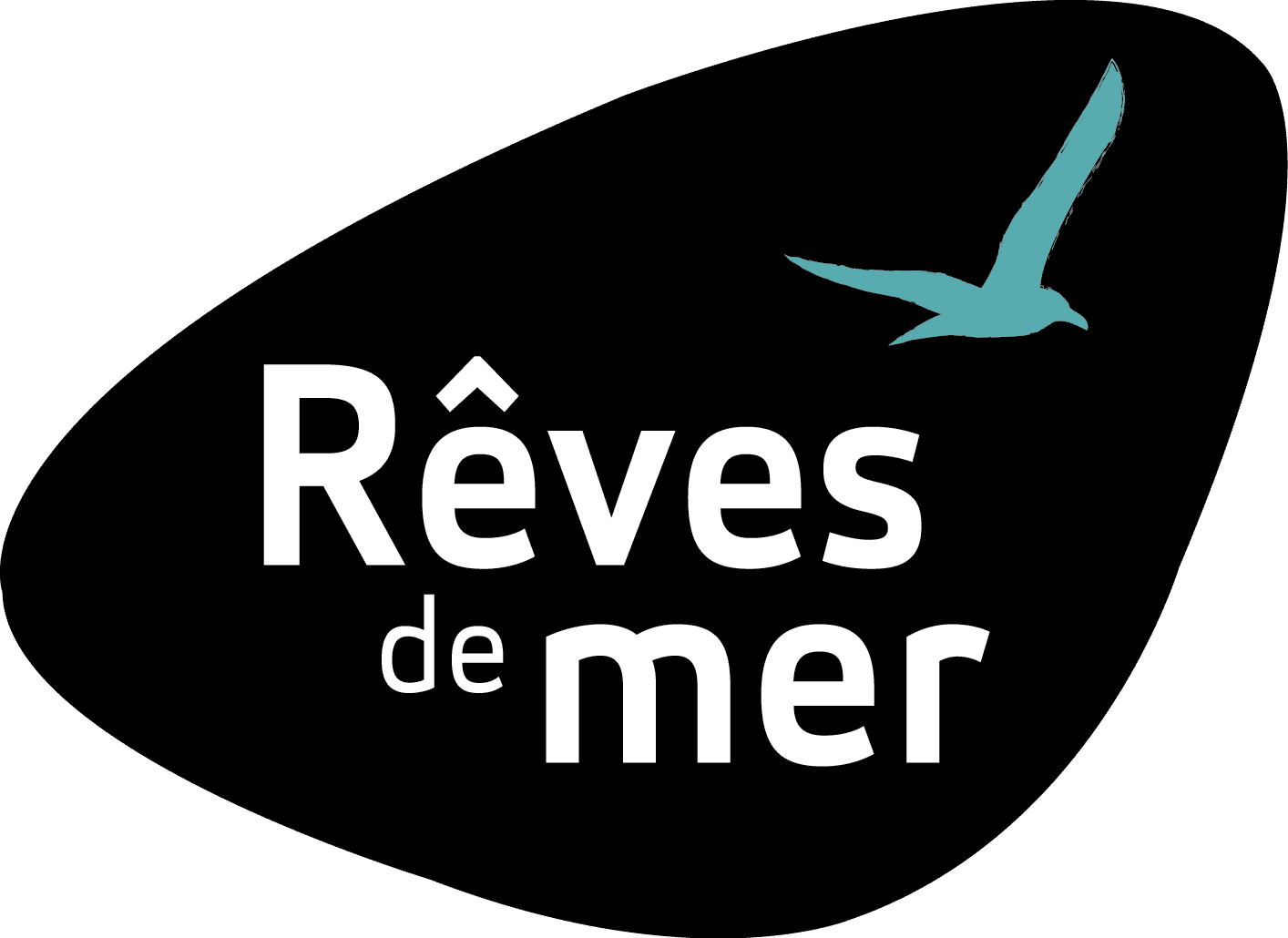 Les publics et salariés de Rêves de Mer en immersion complète pour le ...